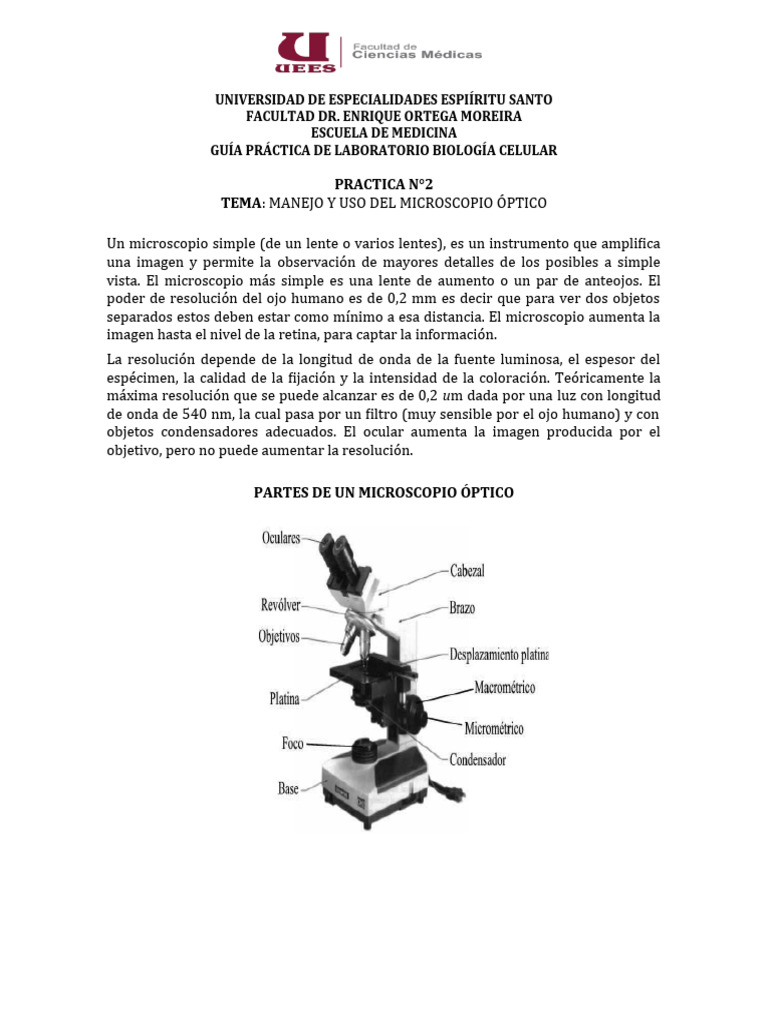 Práctica 2 Manejo y Uso Del Microscopio | PDF | Ojo humano | Microscopio