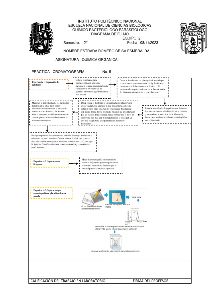 Diagrama de Flujo Cromatografia | PDF Diagrama de Flujo Cromatografia | PDF