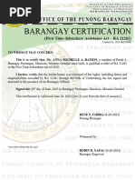 Barangay Citizens Charter | PDF | Government