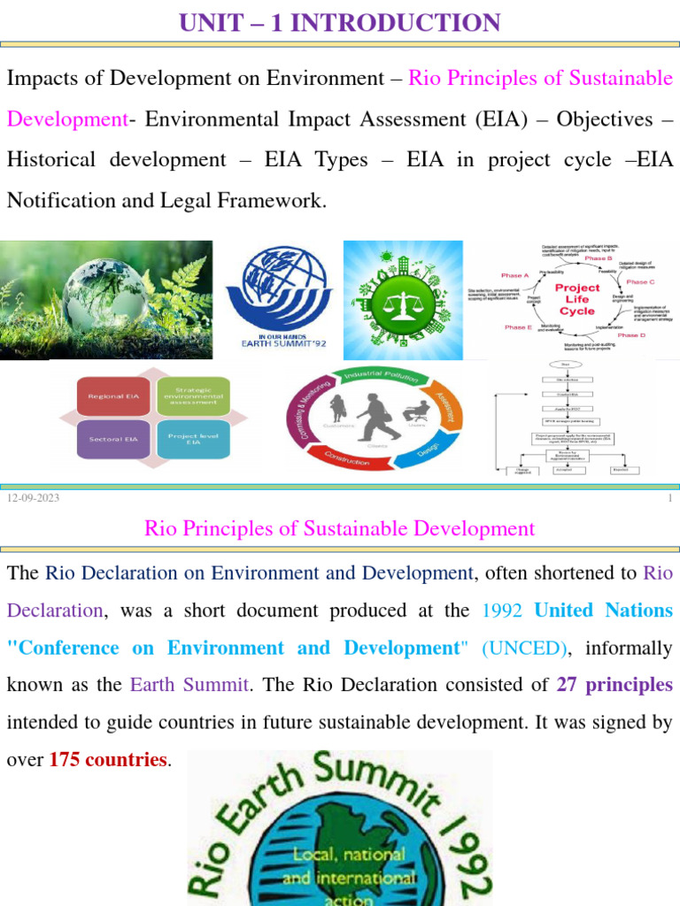 Rio Principles of Sustainable Development | PDF | Sustainability ...