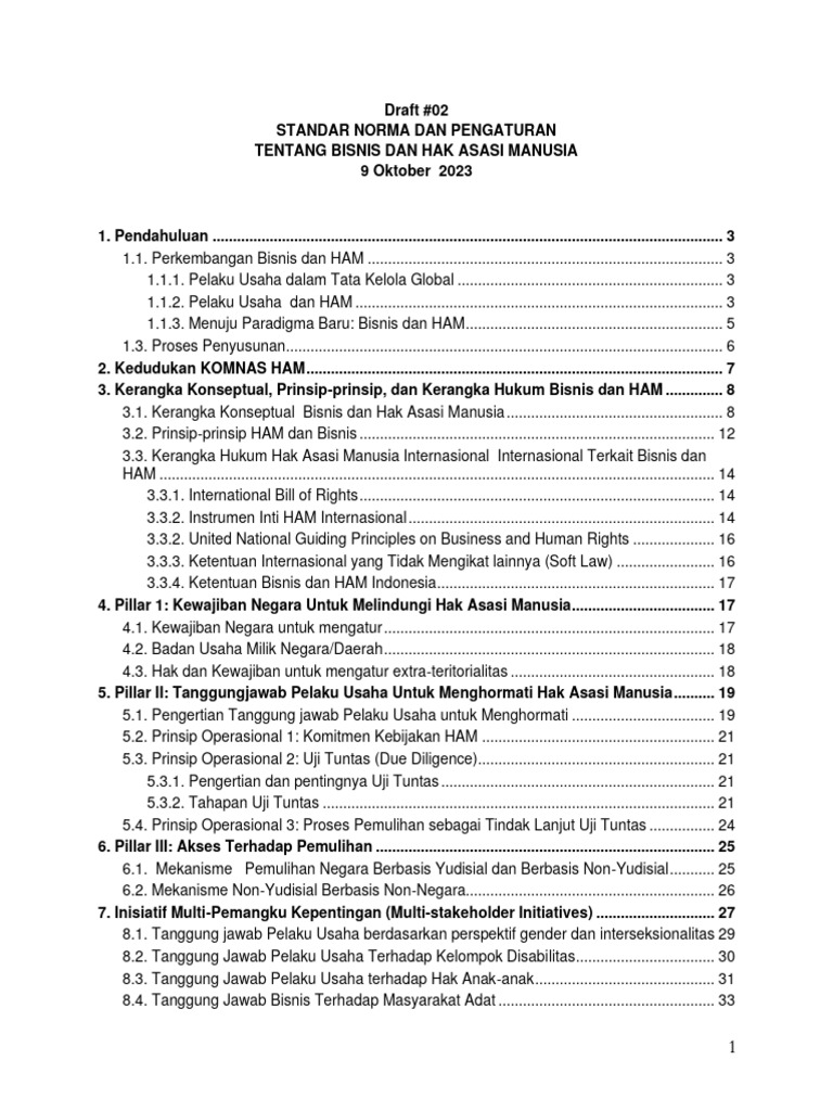 Draft 02 SNP Bisnis Dan HAM | PDF | Bisnis