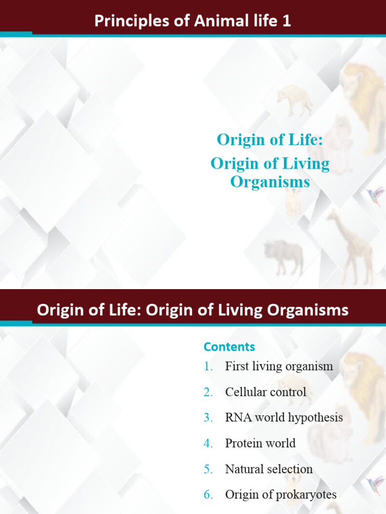 Origin of Life, Origin of Living Organims | PDF