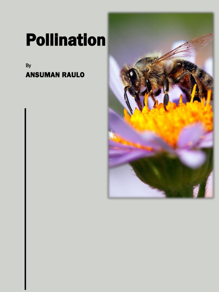 Pollination | PDF | Flowers | Petal