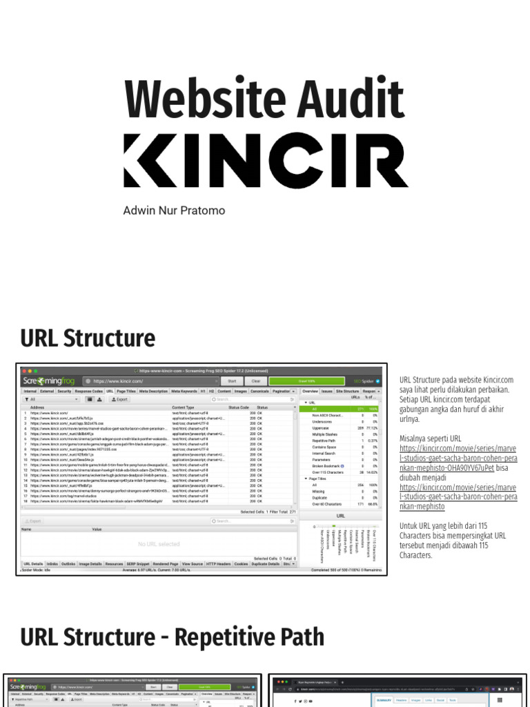 Website Audit | PDF