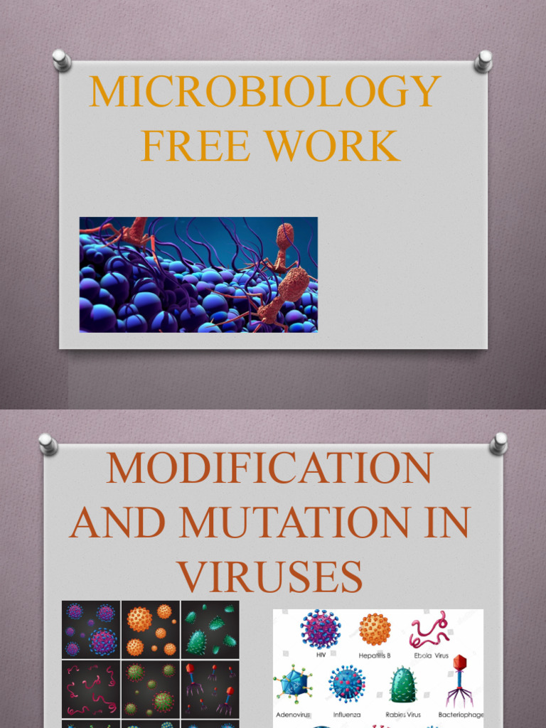 Modification and Mutation in Viruses | PDF | Virus | Mutation