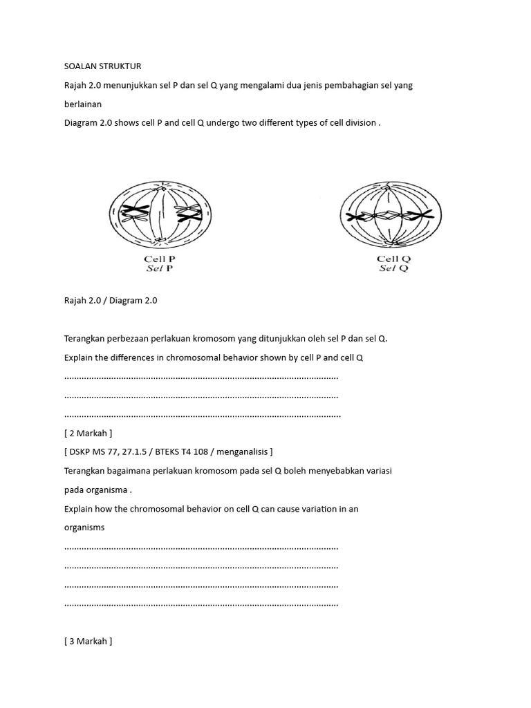 Soalan Struktur | PDF
