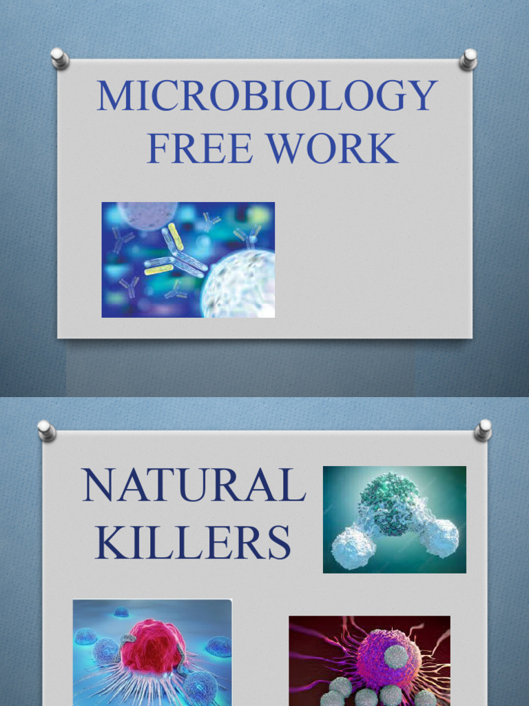 Micro Free Work 2 Natural Killers | PDF | Natural Killer Cell | Lymphocyte