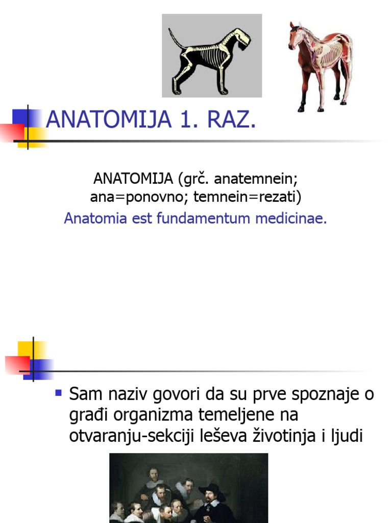Vet-Teh 01. Anatomija Anatomija Uvod 1-Raz | PDF