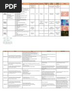 Aerobic Gram Positive Rods Identification Chart | PDF | Bacteria ...