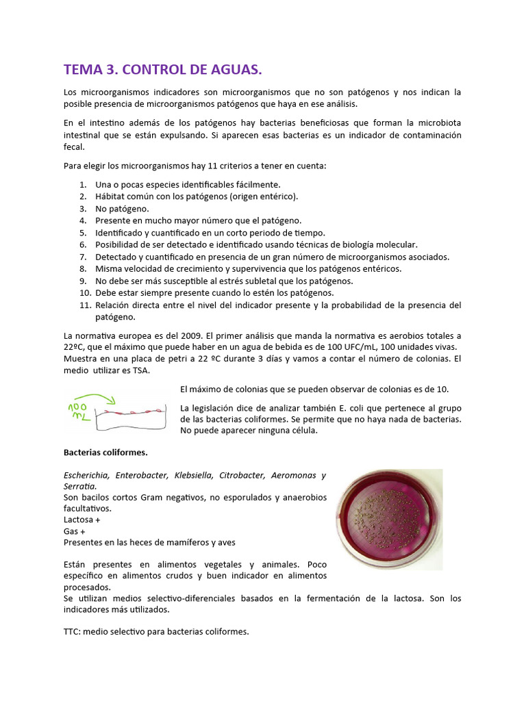 Tema 3. Control de Aguas | PDF | Las bacterias | Escherichia coli