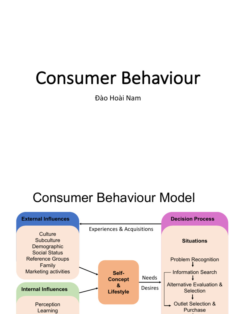 Behaviour-Phan 2 Selfconcept&lifestyle | PDF