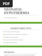 Neonatal Energy Triangle Part 1 | PDF | Hypoglycemia | Health Sciences