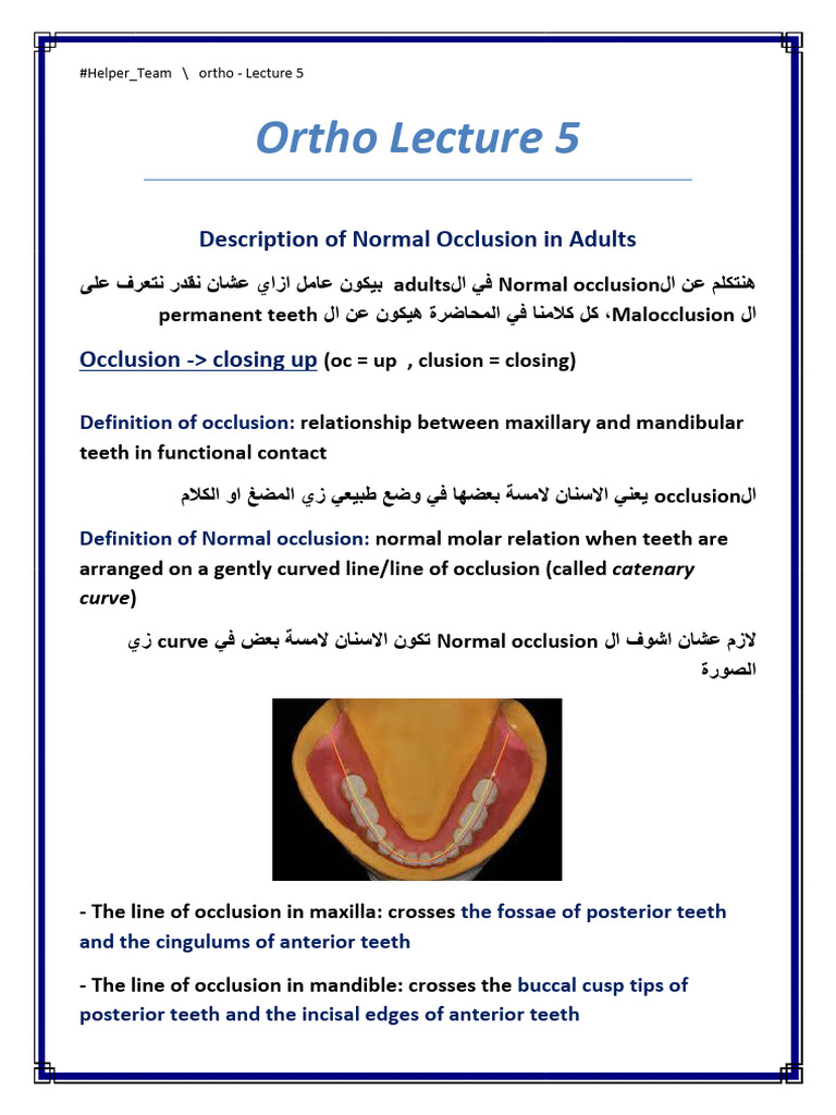 Ortho Lec 5 | PDF