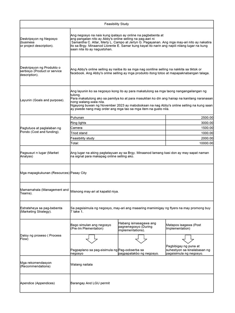 Feasibility Study | PDF