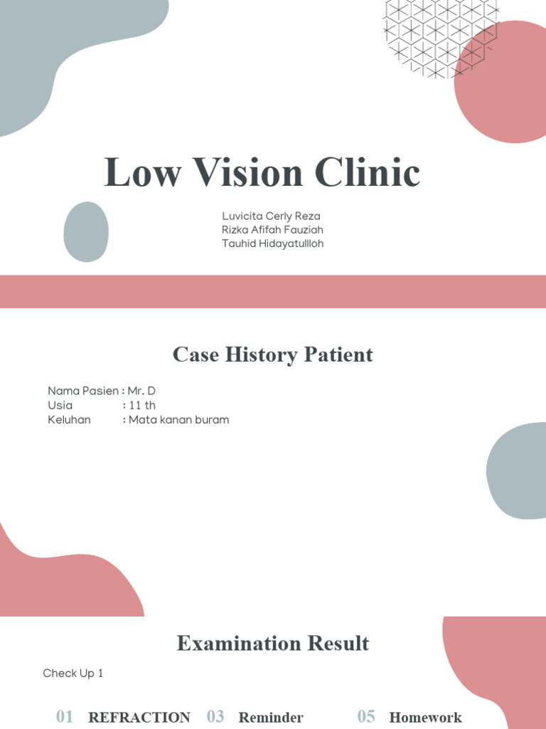 Low Vision | PDF | Videotelephony | Computing