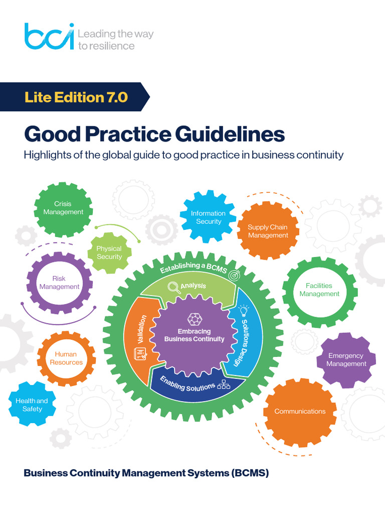 GPG Lite Final | PDF | Risk | Risk Management