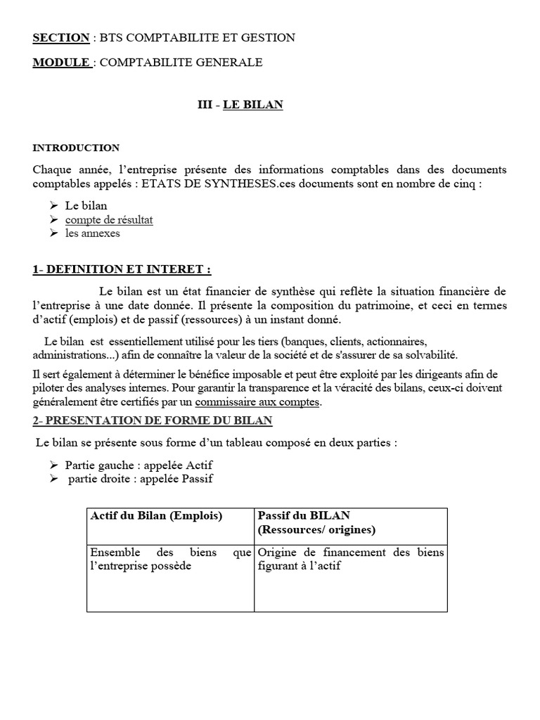 Comprendre le Bilan Comptable | PDF | Bilan comptable | Comptabilité