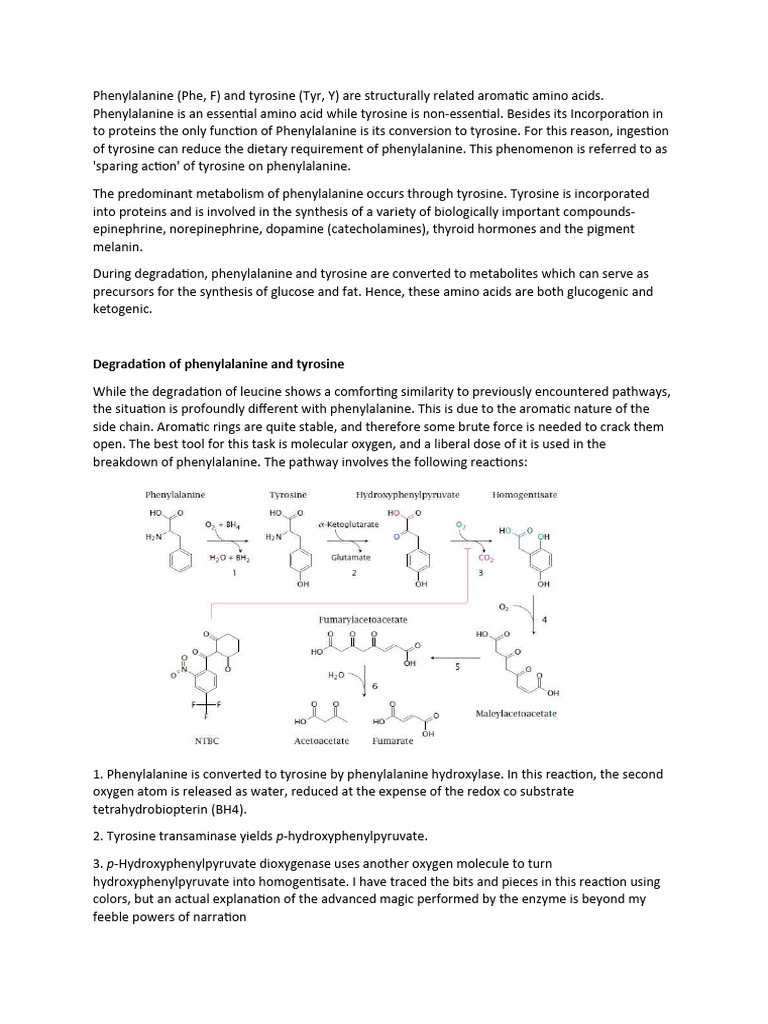 Phenylalanine | PDF | Tyrosine | Phenylalanine