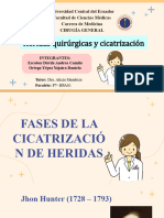 Cicatriz Retráctil | PDF | Cicatriz | Cicatrización de la herida