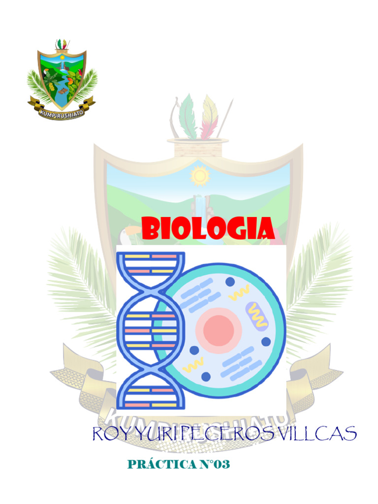 Practica 03 Biologia | PDF | Adn | Rna
