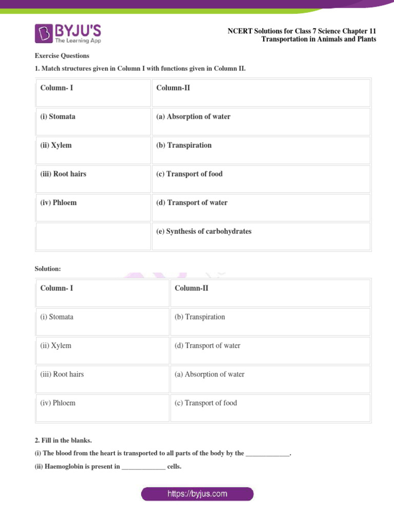 NCERT Solutions For Class 7 March 31 Science Chapter 11 Transportation in Animals and Plants ...