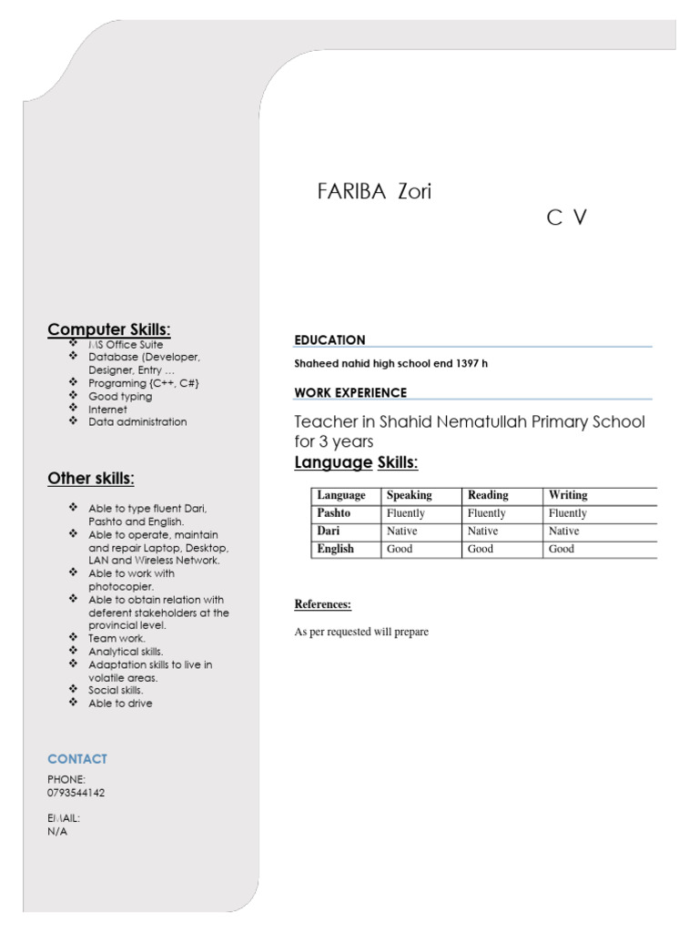 Computer Skills and Experience CV | PDF