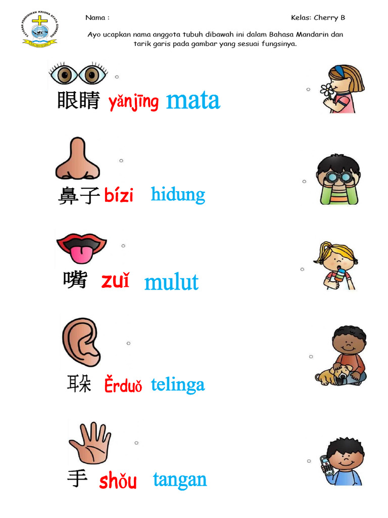 Lembar Kerja TK Tema Tubuhku Bahasa Mandarin | PDF