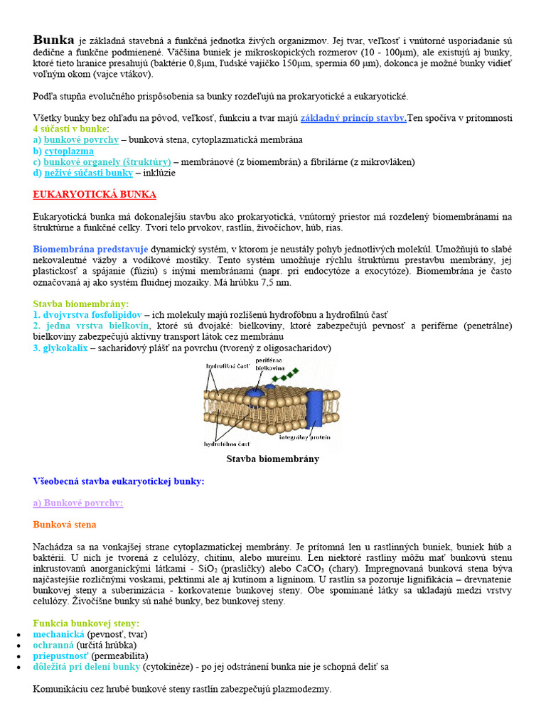 Bunka - Stavba | PDF