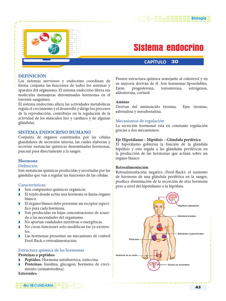 Sistema endocrino-IV B - 4° - Removed | PDF | Hormona | Sistema endocrino