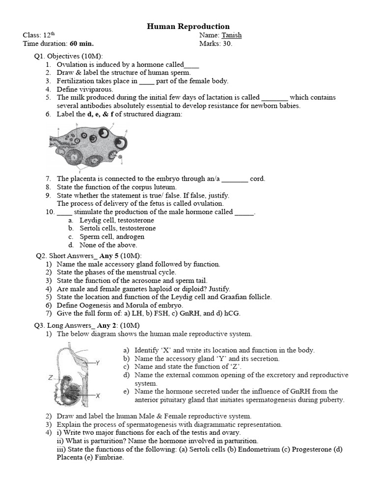 Class - 12-CBSE - Biology - Human Reproduction - Test Paper. | PDF ...