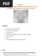 RX de Pie | PDF | Pie | Extremidades (anatomía)
