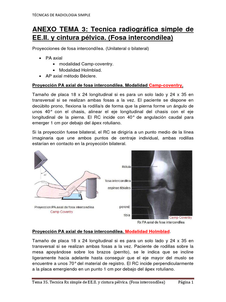 ANEXO TEMA 3 RODILLA-Fosa Intercondilea | PDF | Rodilla | Pelvis
