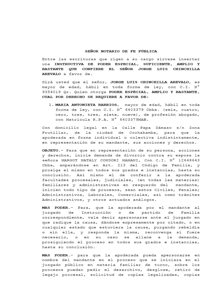 Poder Especial para Divorcio | PDF | Sentencia (ley) | Principios éticos