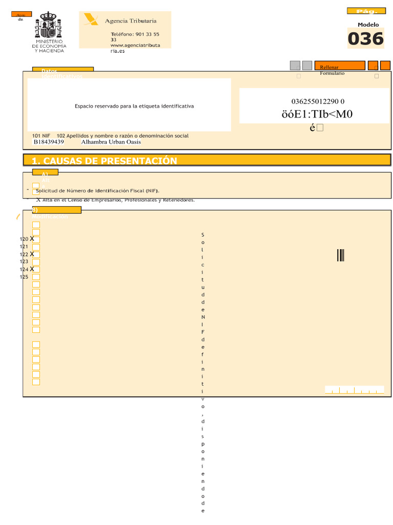 ModelO 036 | PDF | Impuestos | Economias