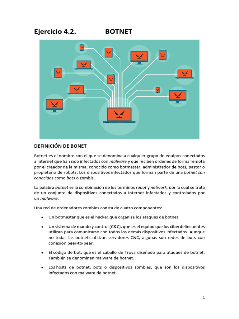 Ejercicio 4.2 - Botnet | PDF | Malware | Internet Bot