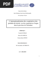 Plan Maroc Vert : Enjeux et Perspectives | PDF | Maroc | Agriculture