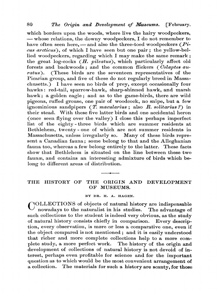 The History of The Origin and Development of Museums | PDF