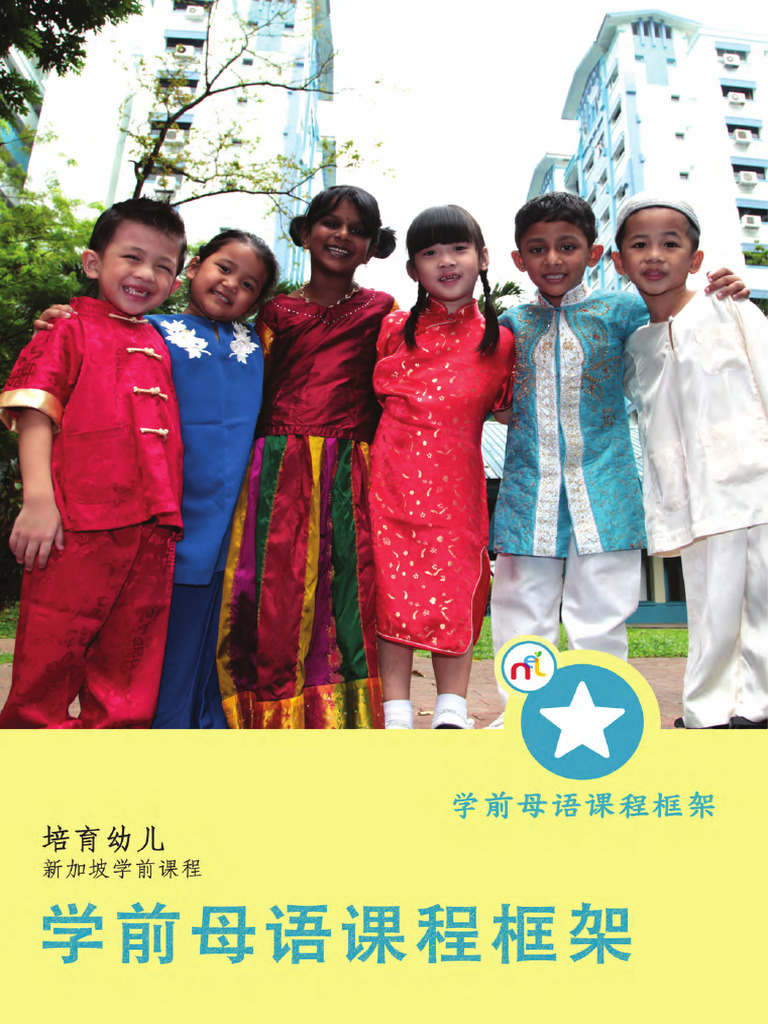 Nel Framework For Mtls Chinese | PDF