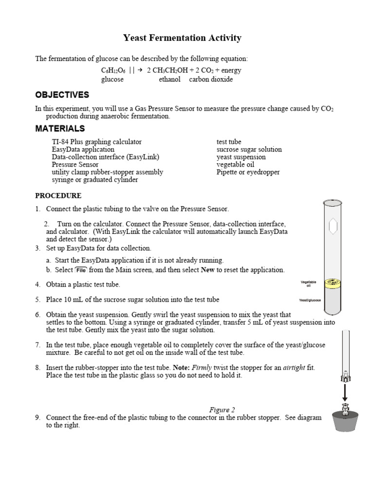 Yeast Fermentation Experiment Guide | PDF | Sucrose | Yeast