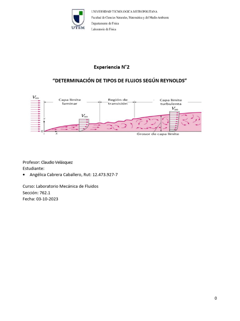 Informe Lab. Mecanica de Fluidos - Determinacion de Tipos de Fluidos Segun Reynolds | Descargar ...