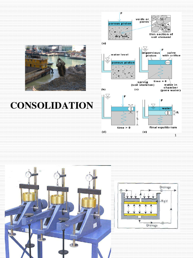 C4 Consolidation | PDF | Applied And Interdisciplinary Physics | Horticulture