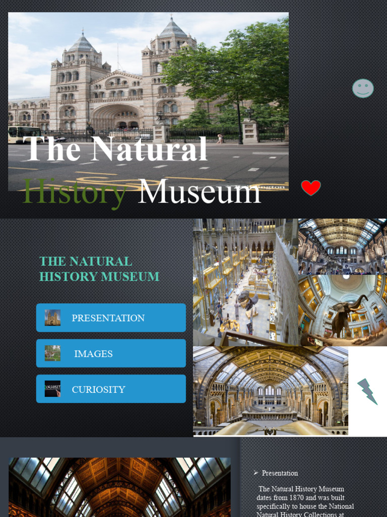 The Natural History Museum | PDF