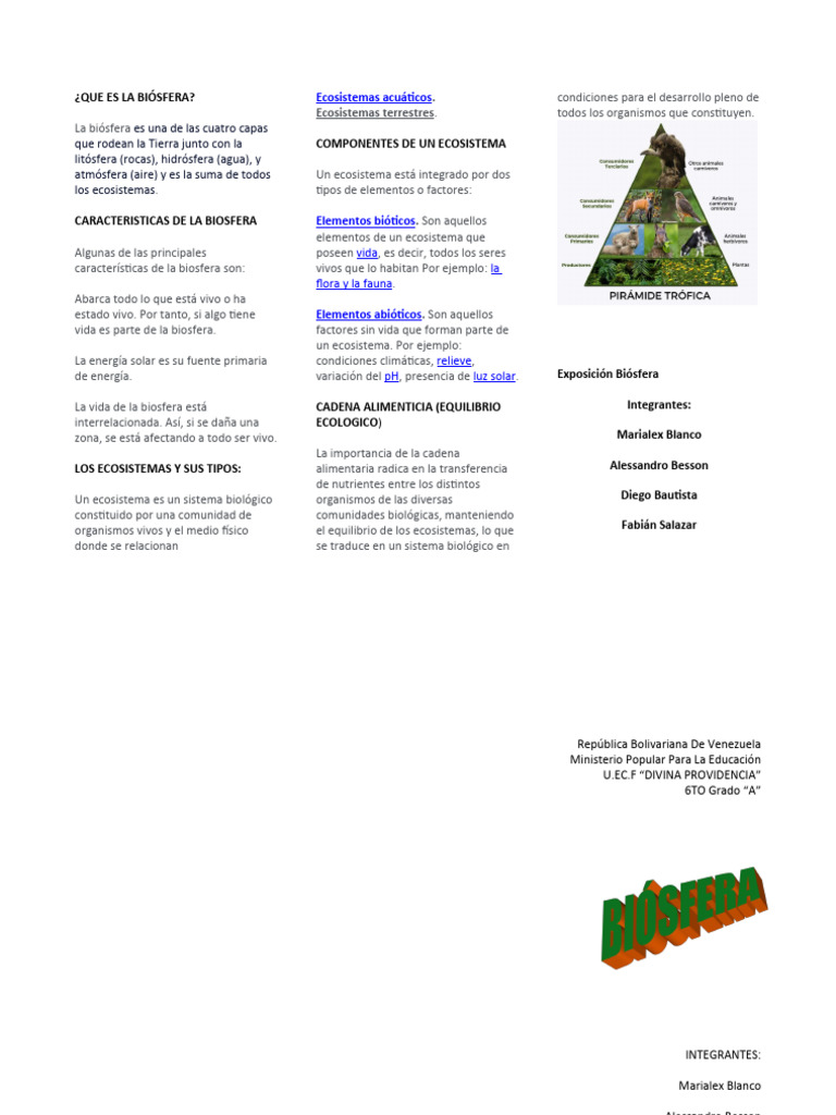 Características y Niveles de la Biósfera | PDF | Ecosistema | Ecología