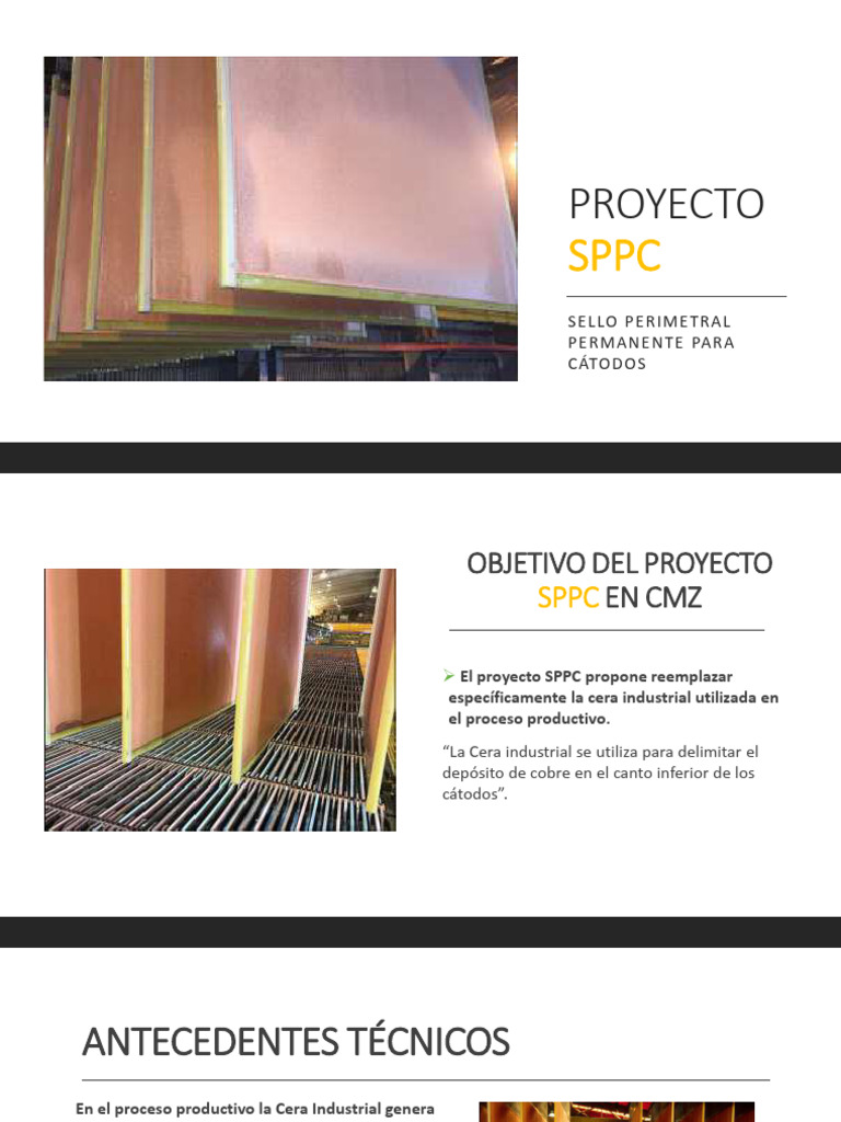 Proyecto SPPC Resumen Sello Perimetral | PDF | Tecnología