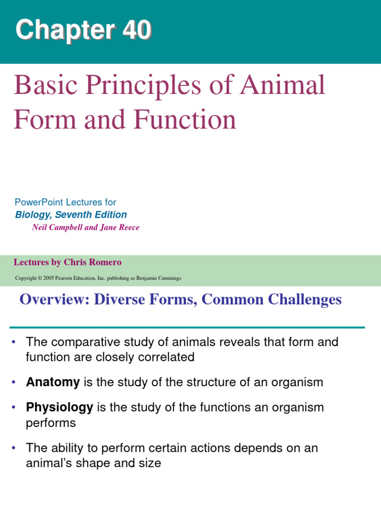 Animal Form and Function PP | PDF | Thermoregulation | Tissue (Biology)