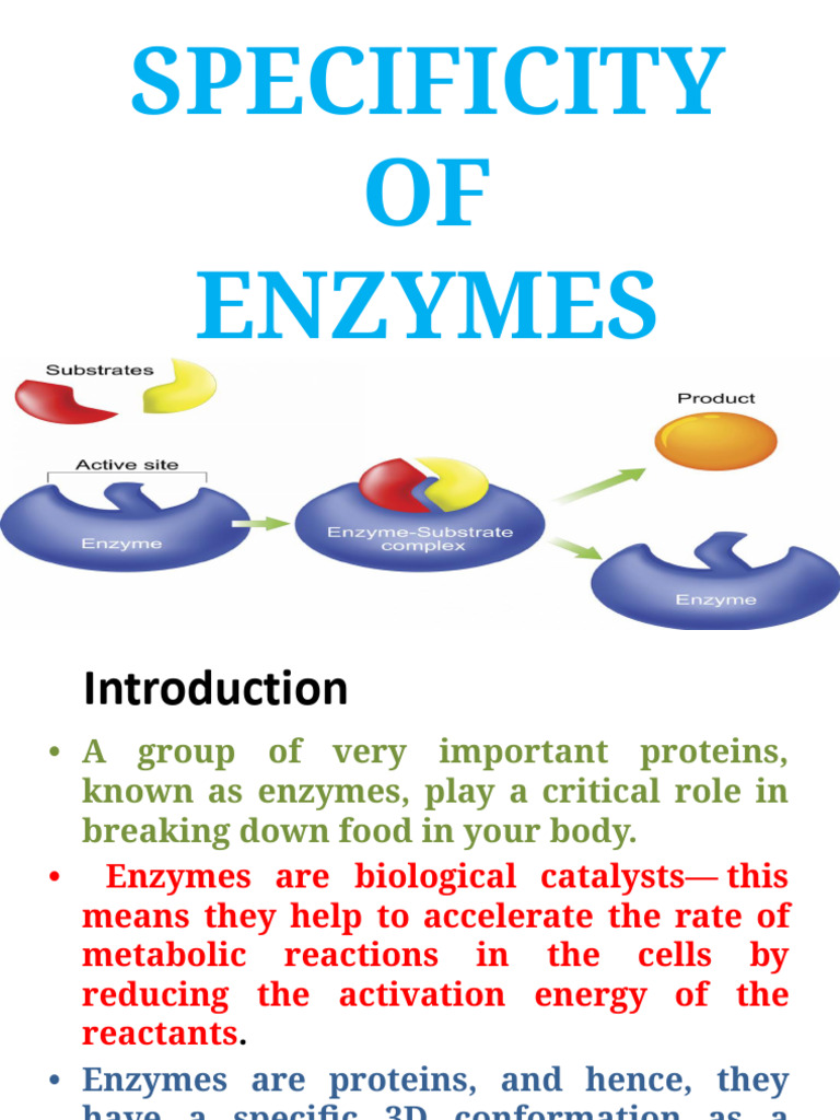 Enzyme Specificity Pdf Chirality Chemistry Enzyme