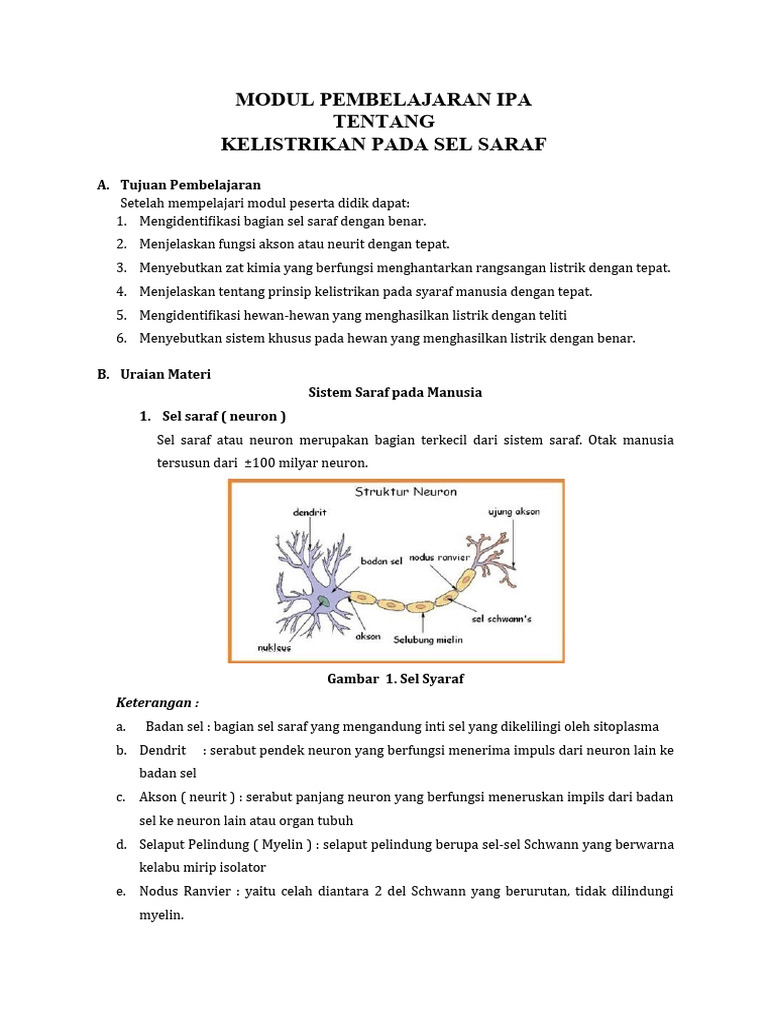 Modul Pembelajaran Ipa Kelistrikan Sel Saraf | PDF