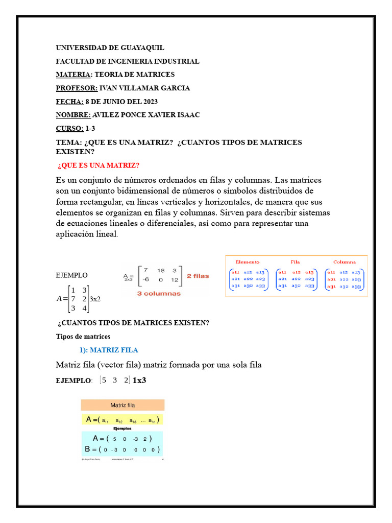 Teoria de Matrices | PDF | Matriz (Matemáticas) | Teoría del operador
