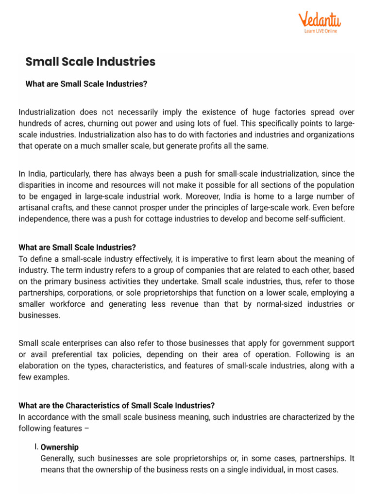 Small Scale Industries | PDF