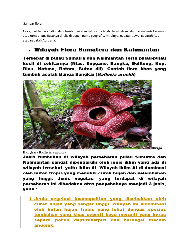 Gambar Flora | PDF | Griya & Taman | Sains & Matematika